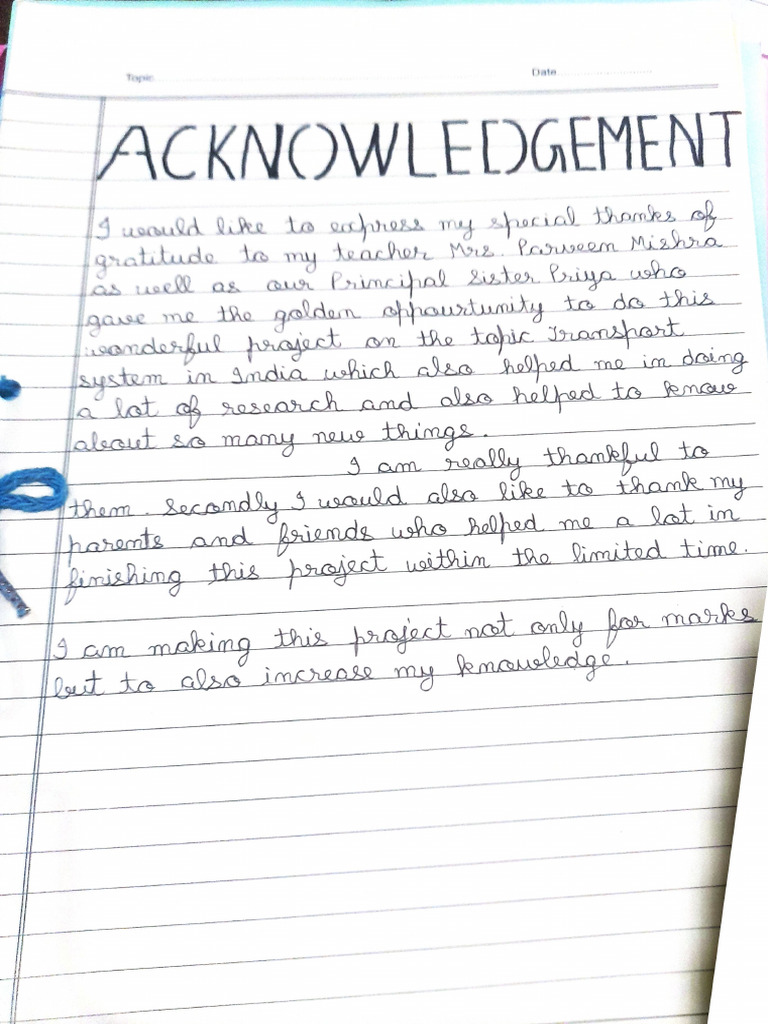 geography project class 10 | PDF