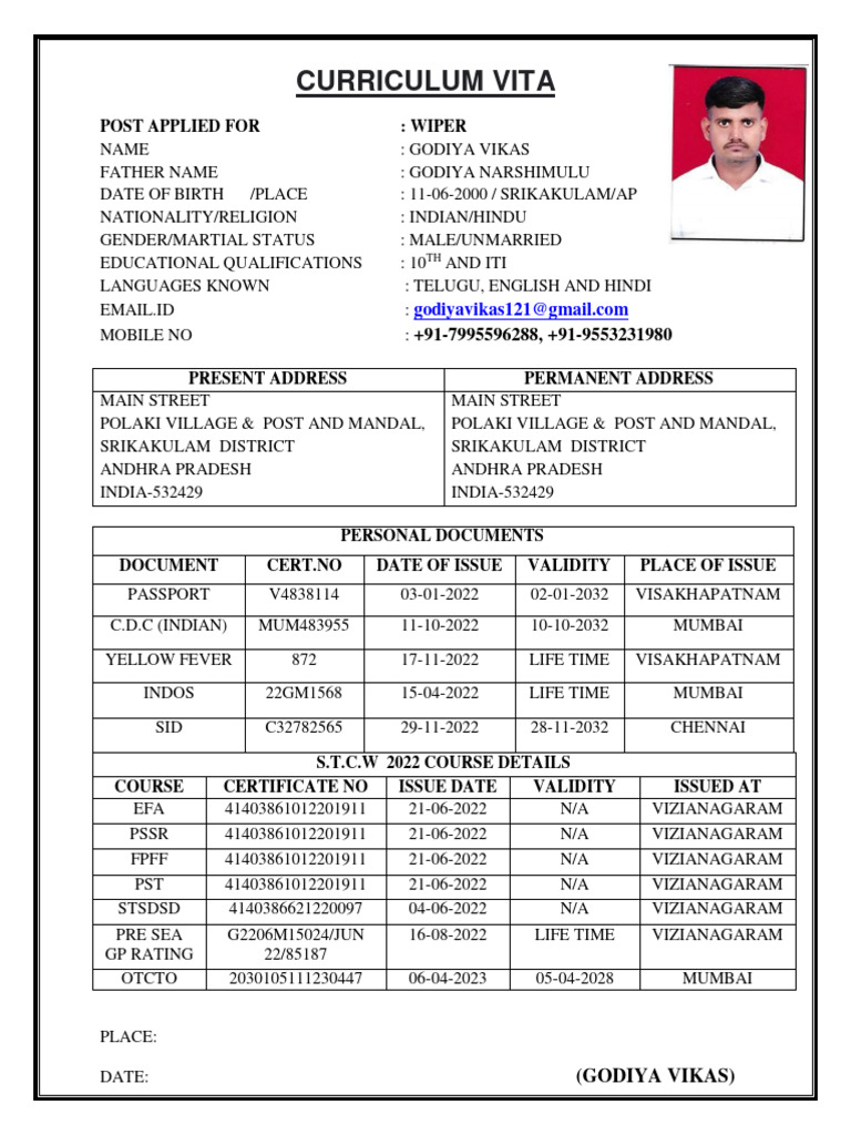 Wiper Job Application - Godiya Vikas | PDF