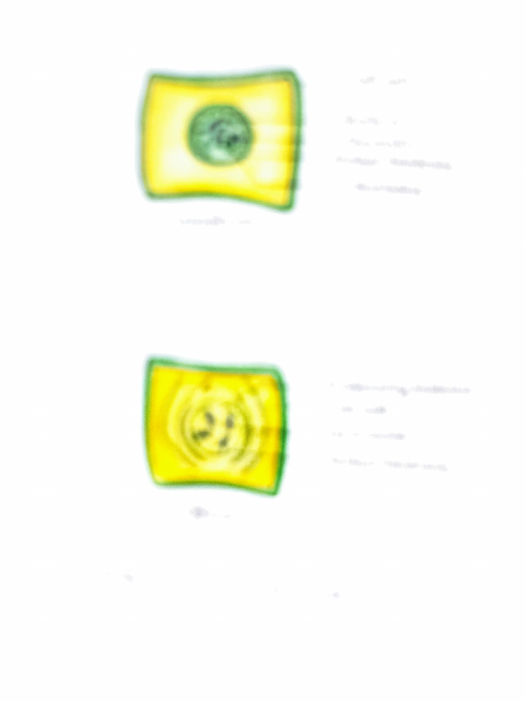 bio class 10 work | PDF