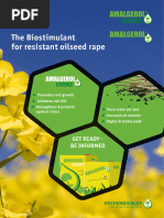 Colcachios Menu | PDF | Salad | Foods