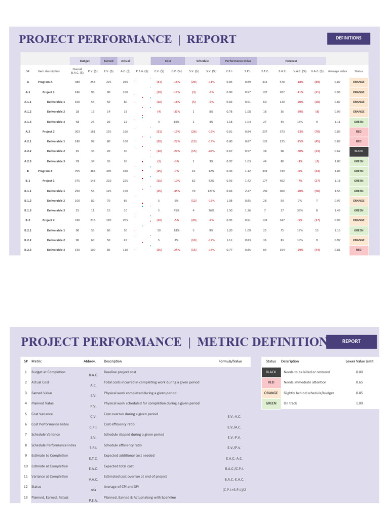 Project Performance Report | PDF | Consumer Price Index | Pricing