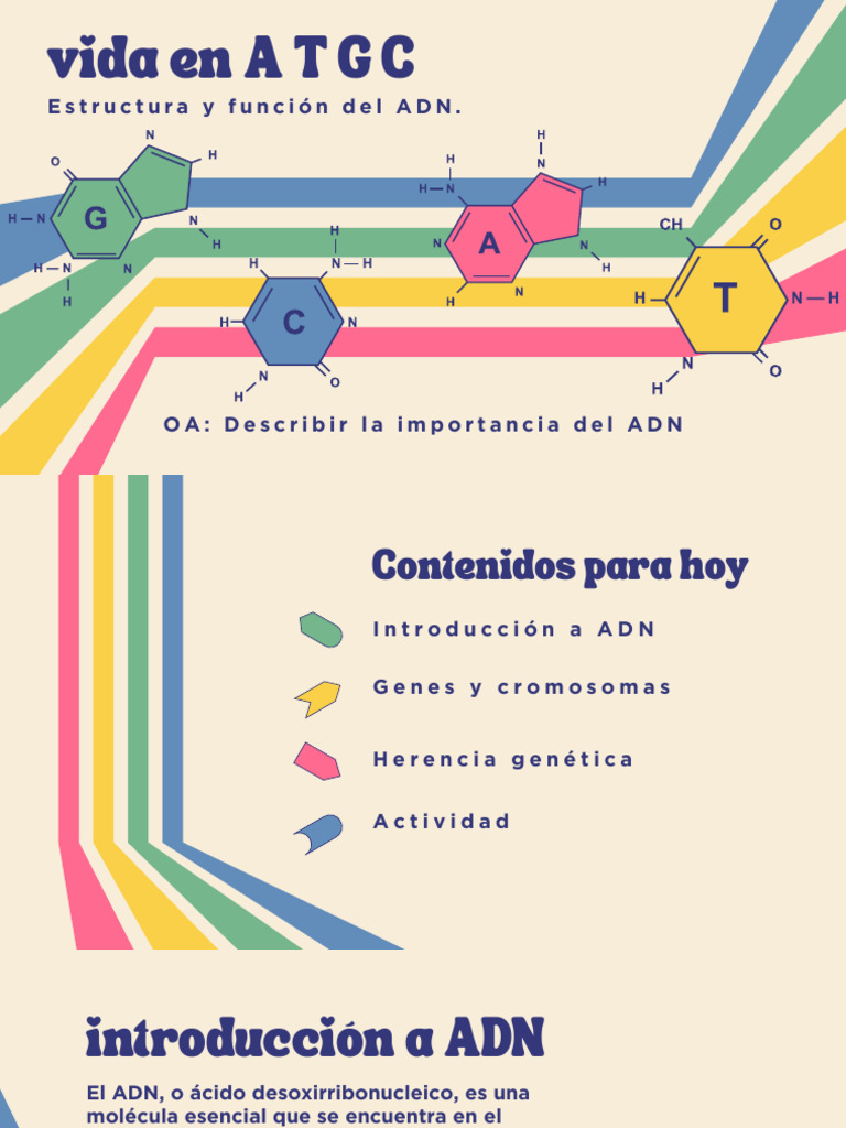 8° ADN | Descargar gratis PDF | Adn | Genética