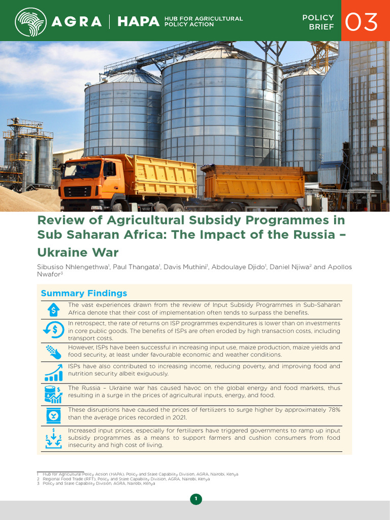 03 HAPA PB03 Input Subsidy Programmes | PDF | Cost Of Living | Food Security