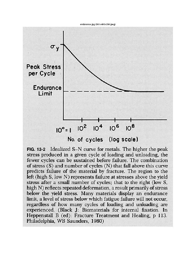 Endurance Limit | PDF