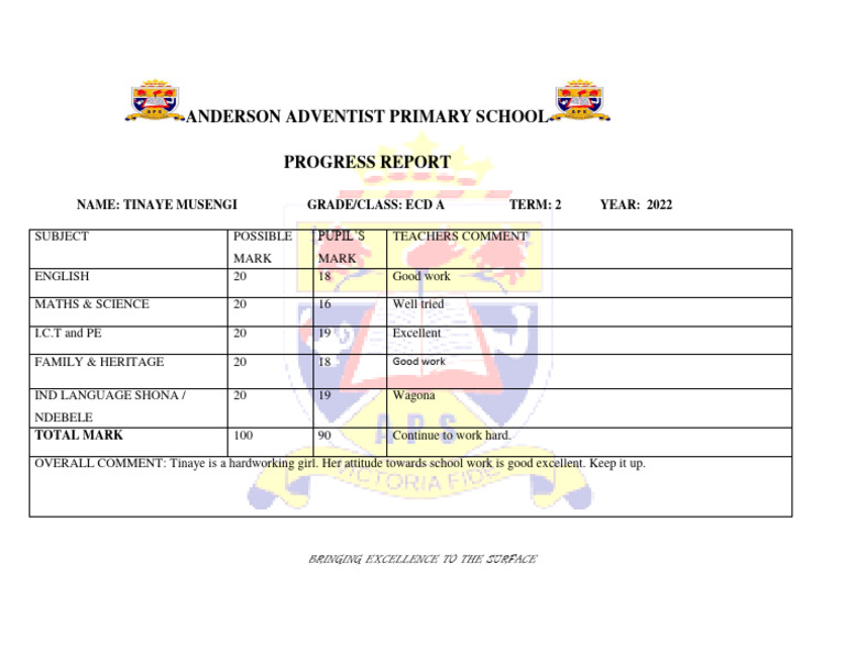 Tinaye Musengi Term 2 | PDF