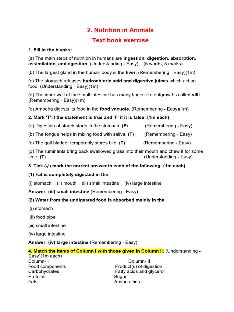 Nutrition in Animals (Final) | PDF | Digestion | Stomach