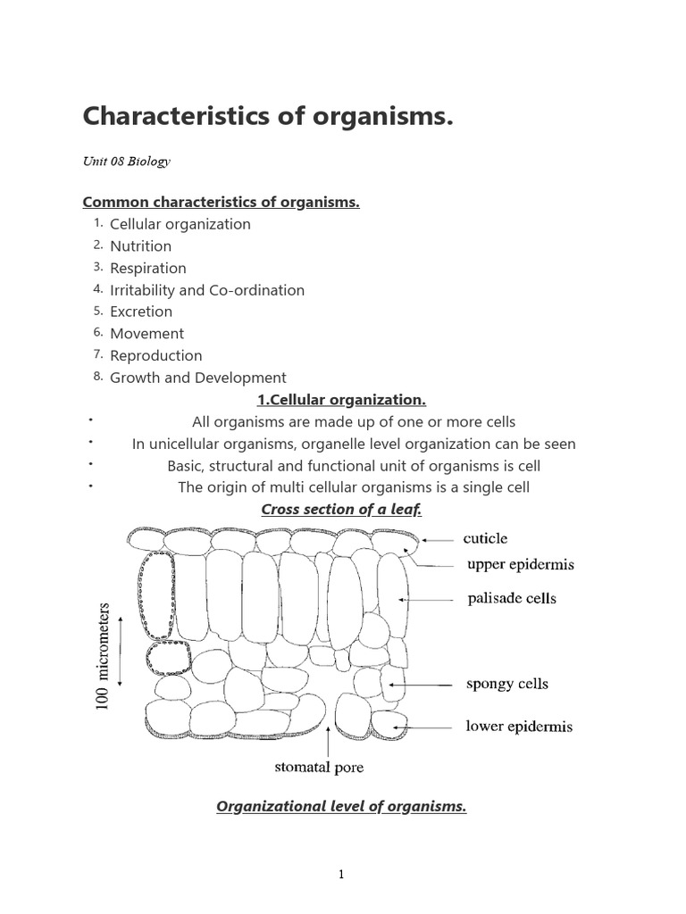 Characteristics of organisms. | Download Free PDF | Cell (Biology ...