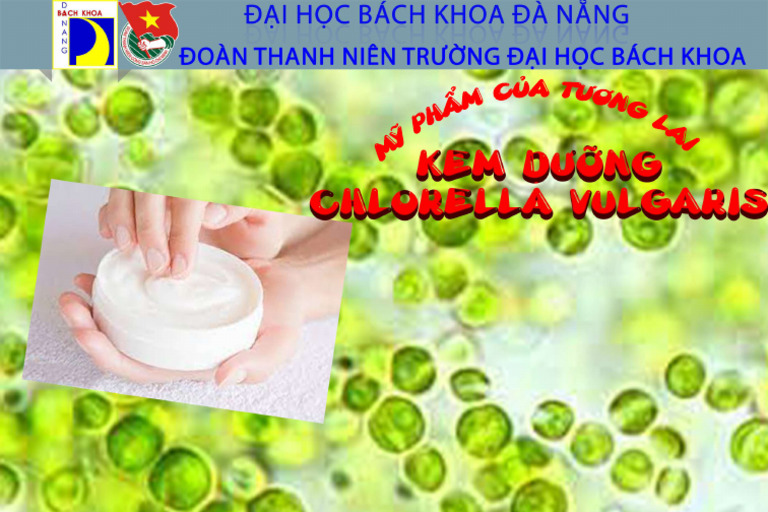 Untitled-2_compressed (1) | PDF