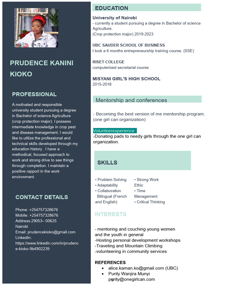 Cv-Profile (Prudence) | PDF | Mentorship