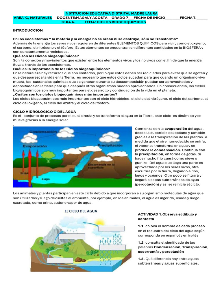 GUIA 4 CICLOS Biogeoquimicos FINAL 2024 | PDF | Agua | Ciclo del carbono