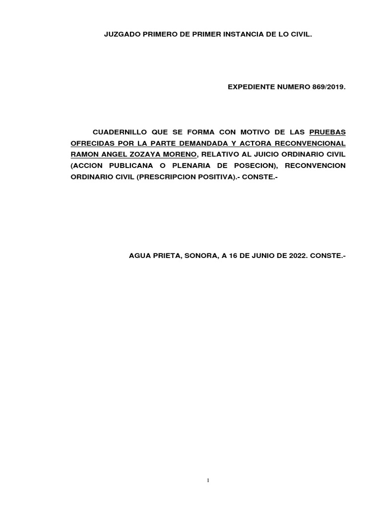 Document 101 | PDF | Judicaturas | Ley Pública