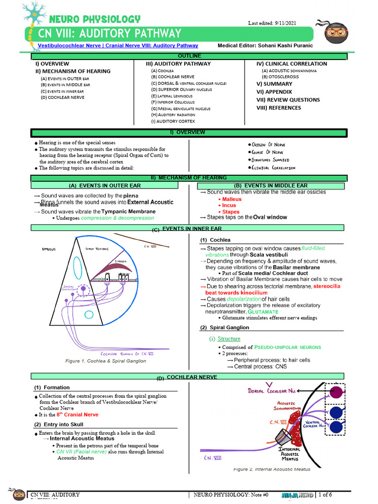 670989779-Ninja-Nerd-Notes-Auditory-Pathway (1) | Download Free PDF ...