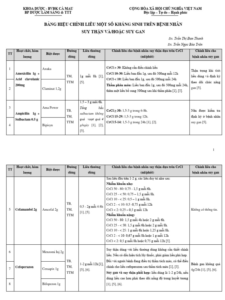 2023 - Chinh Thuc - HD Dieu Chinh Lieu Mot So Ks Cho BN Suy Than Suy Gan | PDF