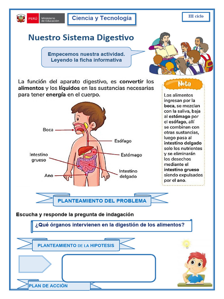 Ficha Nuestro Sistema Digestivo | PDF | Sistema digestivo humano | Digestión