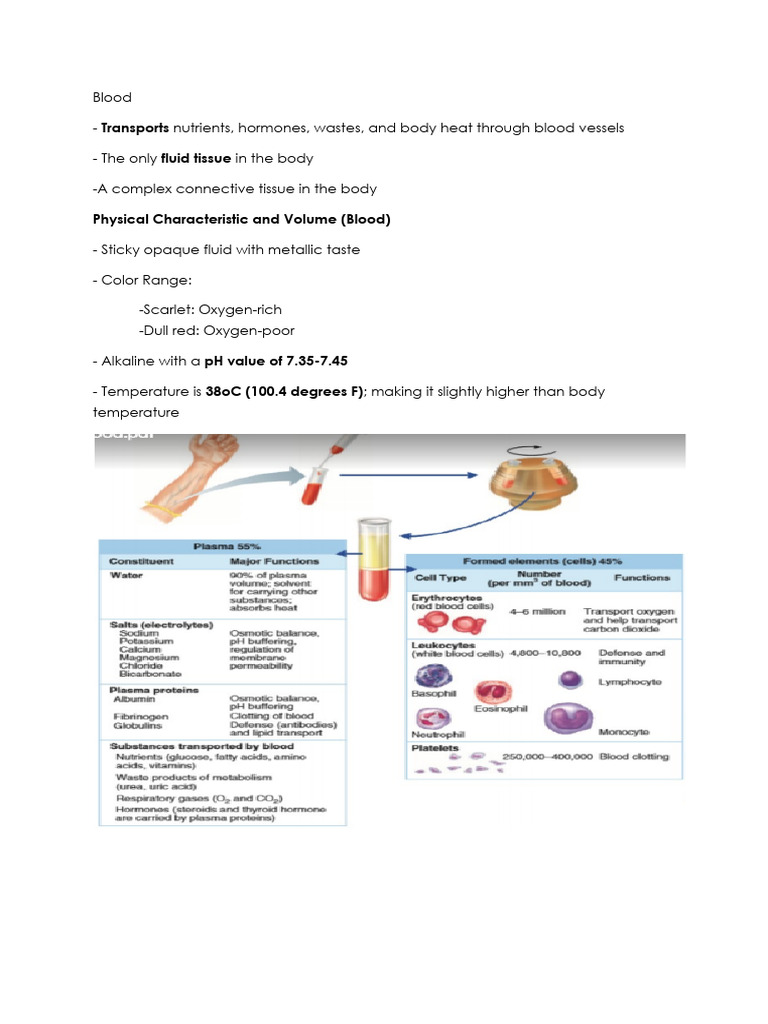 Blood | PDF | White Blood Cell | Coagulation
