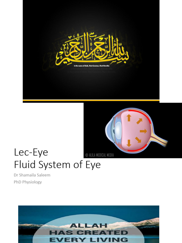 Eye Fluid Systems for Students | PDF | Wellness | Science & Mathematics