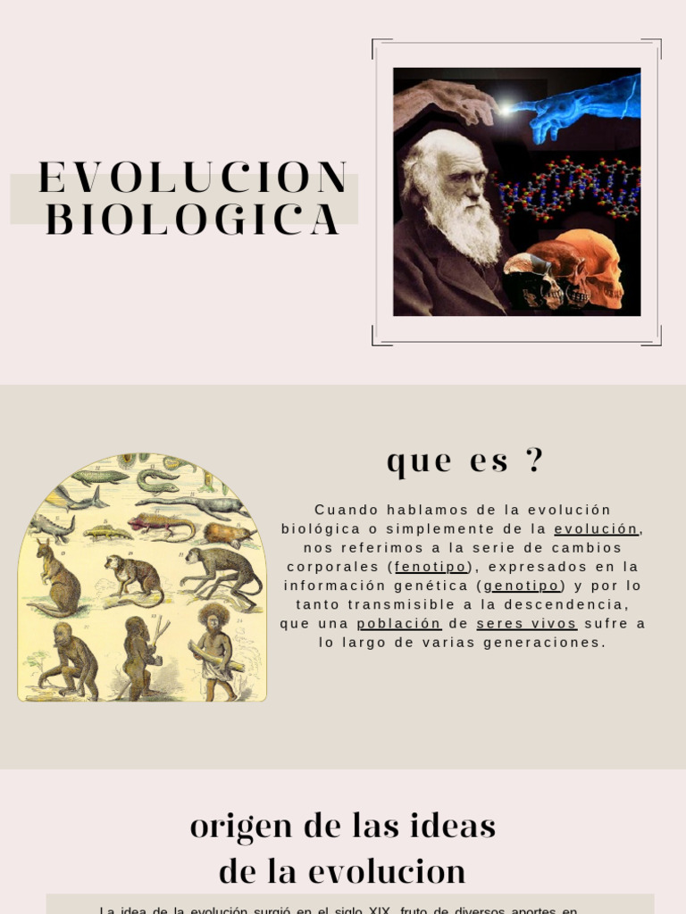 Evolucion Biologica | PDF | Evolución | Gene