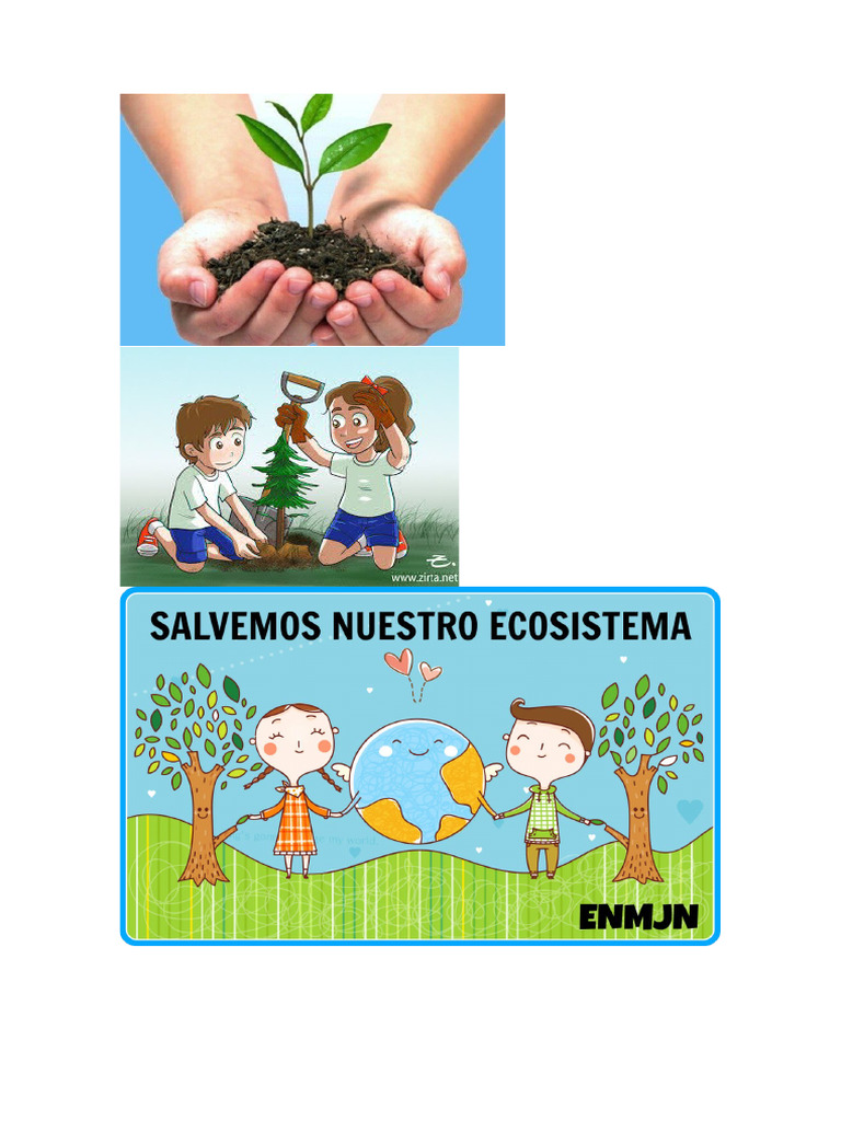 imagenes del medio ambiente | PDF