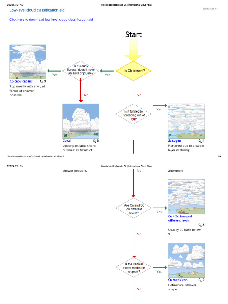 Low-Level Cloud Classification Guide | PDF | Cloud | Atmospheric Sciences