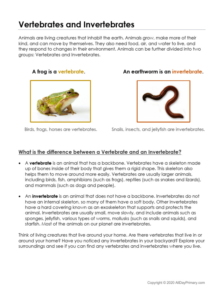 Vertebrates vs. Invertebrates Explained | PDF