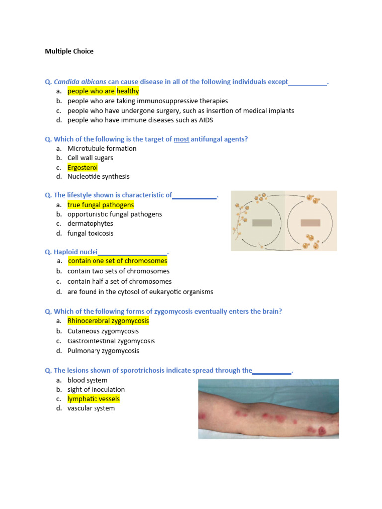 Mycology Questions | PDF | Fungus | Microbiology