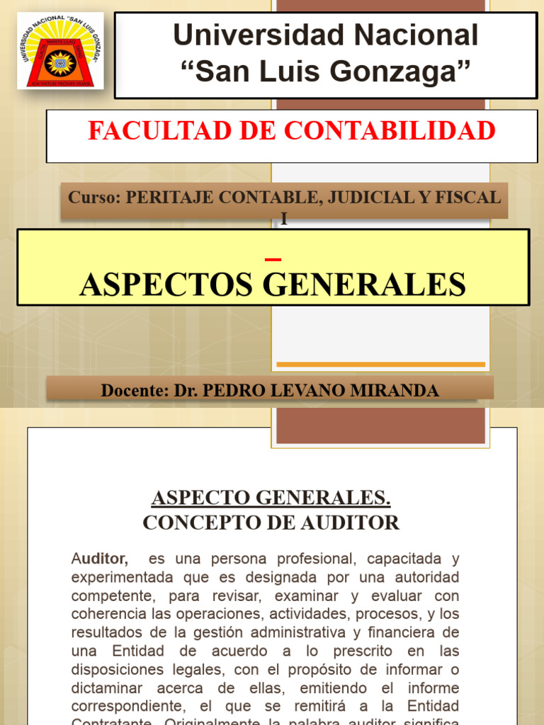 Peritaje Cotable Ii | PDF | Auditoría | Contralor