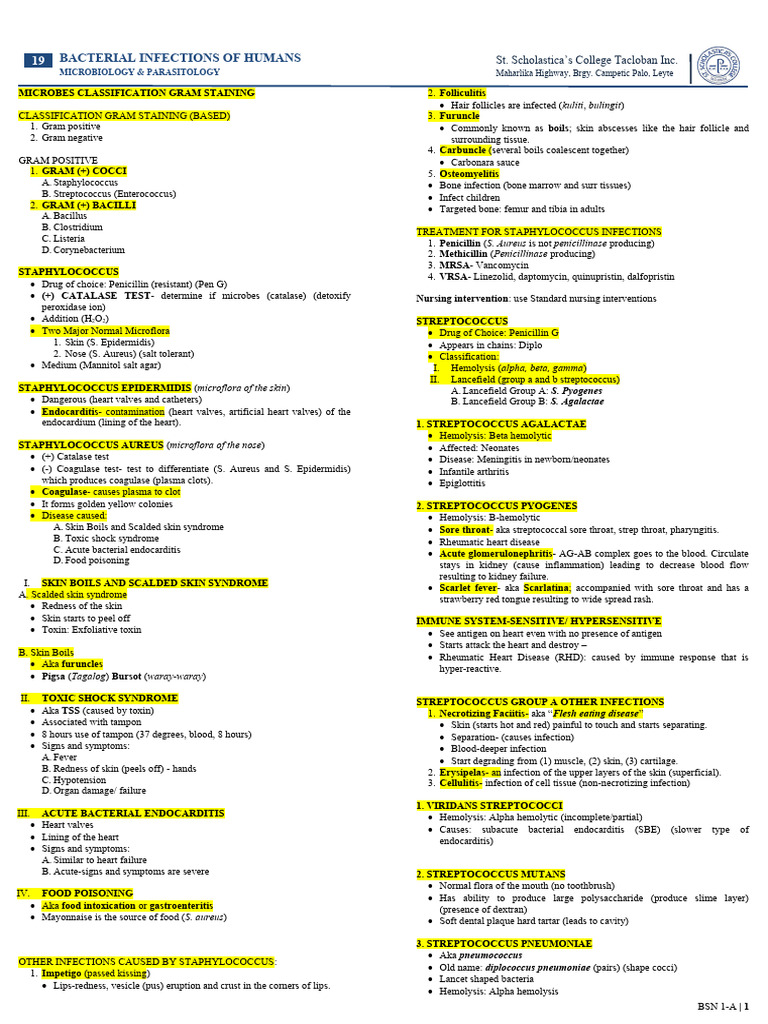 Chapter-19-Bacterial-Infections-Of-Humans (1) 2 | PDF | Streptococcus ...