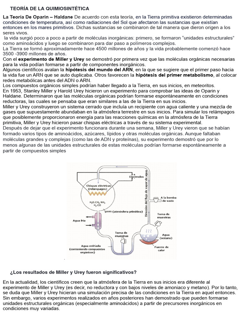 Teoría de La Quimiosintética | PDF | Química | Naturaleza