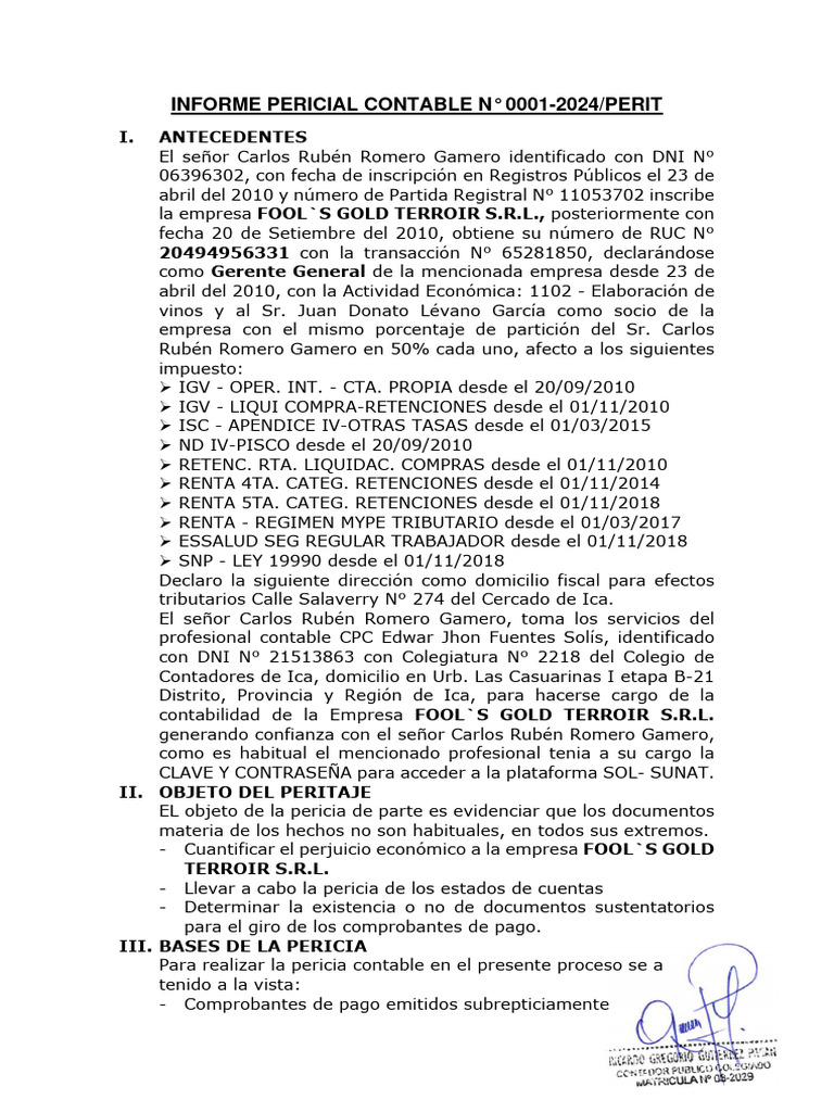 Informe Pericial Contable 2024 | PDF | Contador | Impuestos
