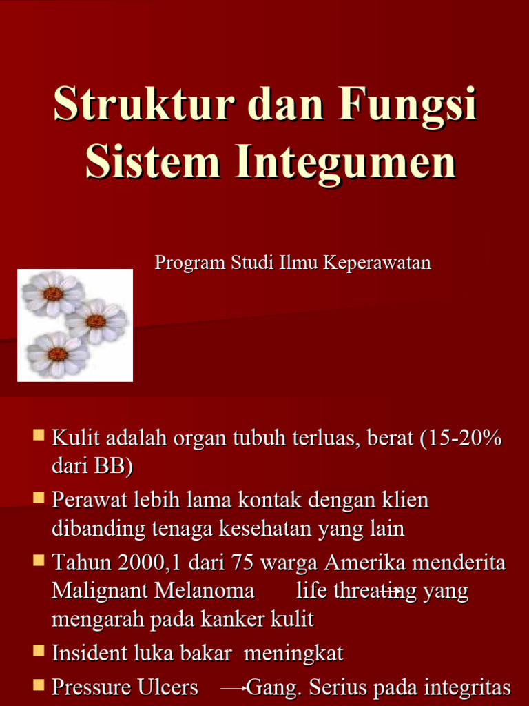 Fungsi dan Struktur Sistem Integumen | PDF