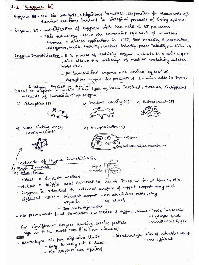 Enzyme Biotechnology | PDF