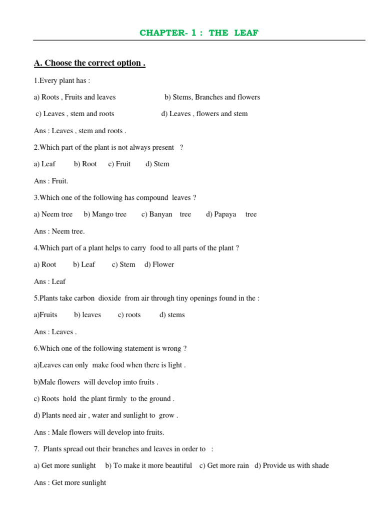 Icse Vi STD Biology (CH - 1) | PDF | Leaf | Plants