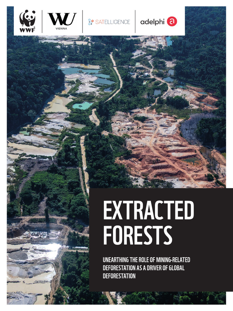 WWF Studie Extracted Forests | PDF | Deforestation | Forests