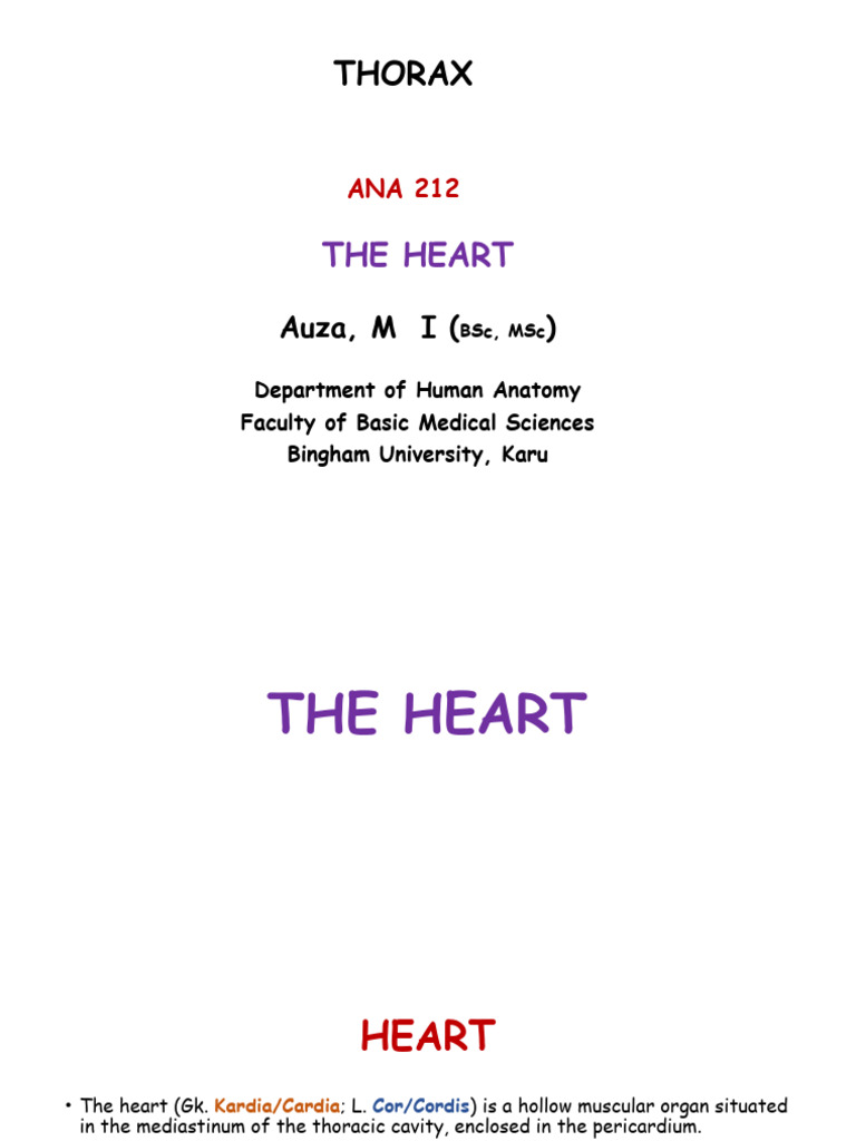 The Heart | PDF | Heart Valve | Coronary Circulation