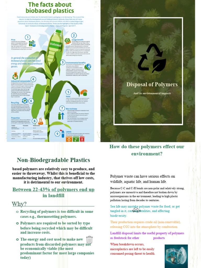 Disposal of Polymers | PDF | Biodegradation | Polymers
