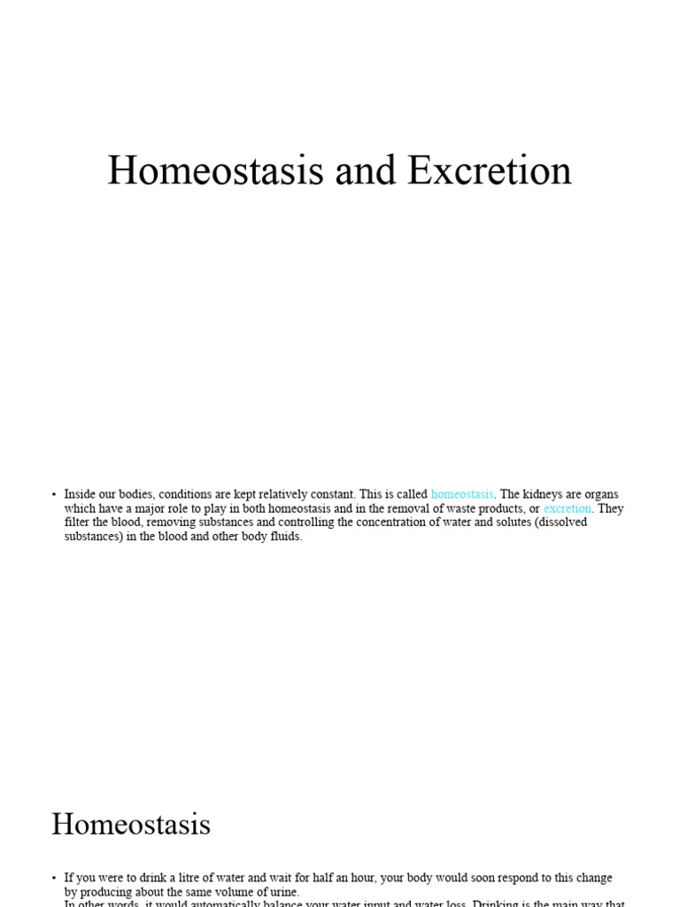 Homeostasis and Excretion | PDF | Kidney | Physiology