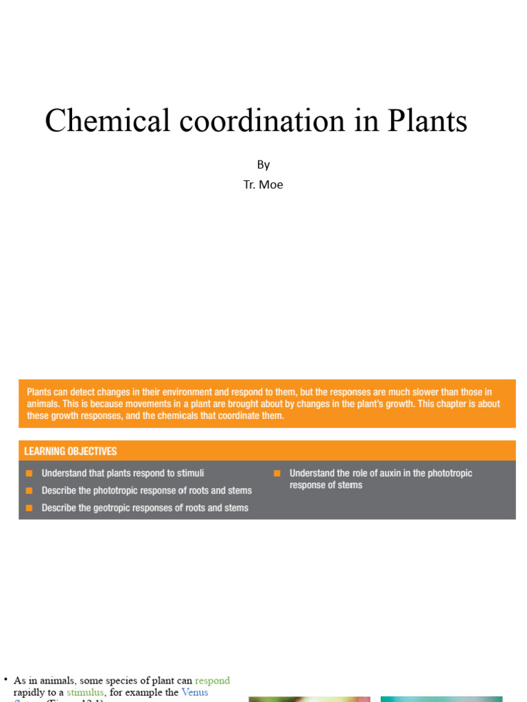 Chemical Coordination in Plants | PDF | Biology | Plants
