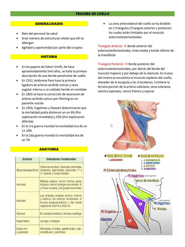 TRAUMA DE CUELLO (1) | PDF | Anatomía | Anatomía humana