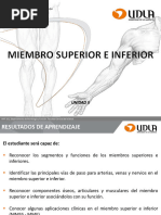 Tróclea - Qué Es, Significado, Ubicación, Función y Lesiones | PDF ...