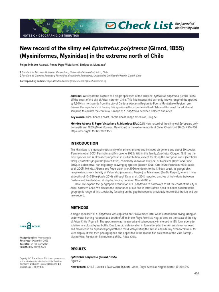2024 New Record of The Slimy Eel Eptatretus Polytrema (Girard, 1855 ...