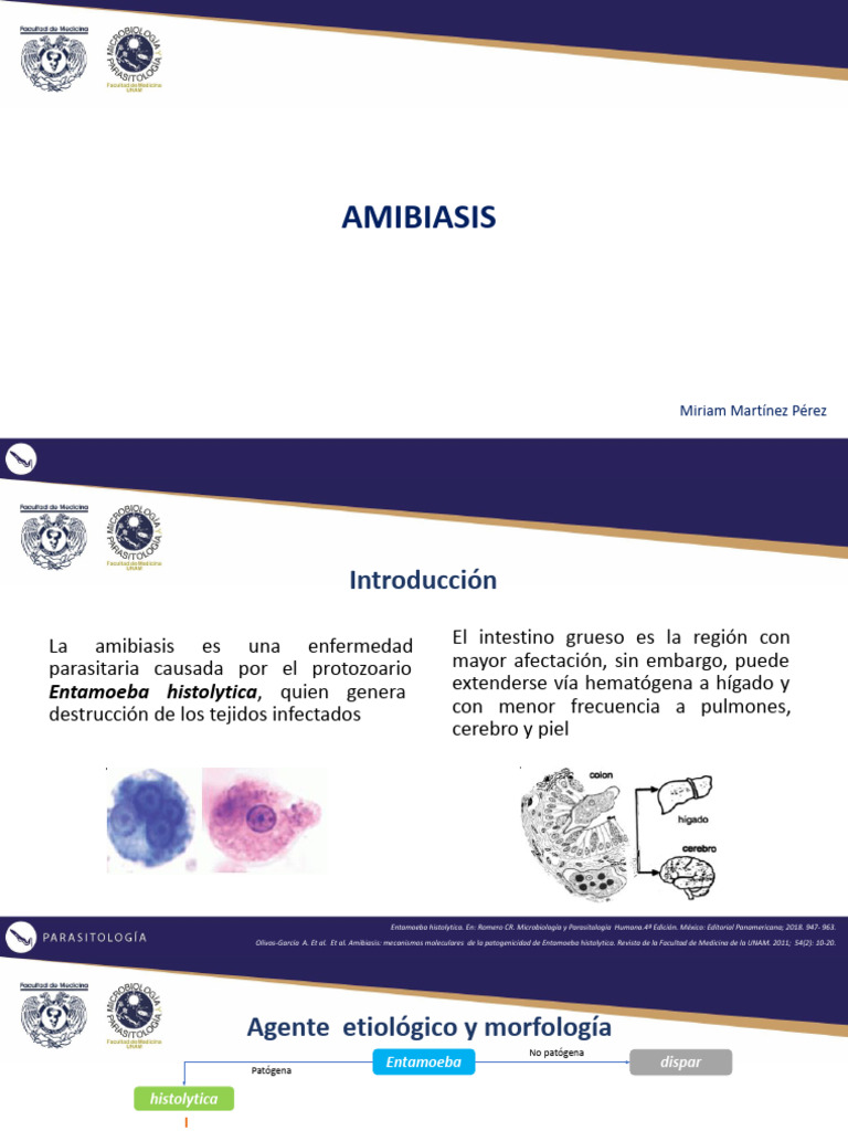 3.1 Amibiasis | PDF | Especialidades Medicas | Medicina CLINICA