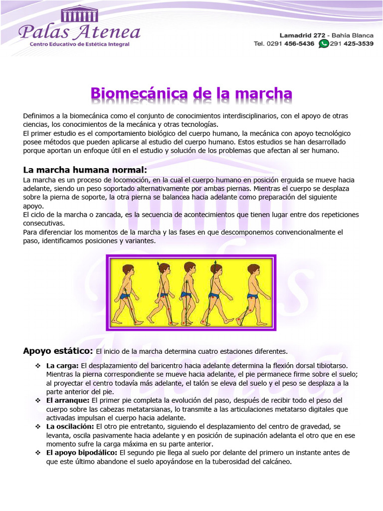 Biomecanica de La Marcha Pedicuria | PDF | Pie | Mecánica