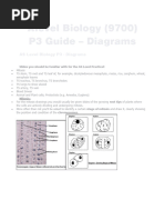 As LEVEL PLAN DIAGRAMS Biology | PDF | White Blood Cell | Cell (Biology)
