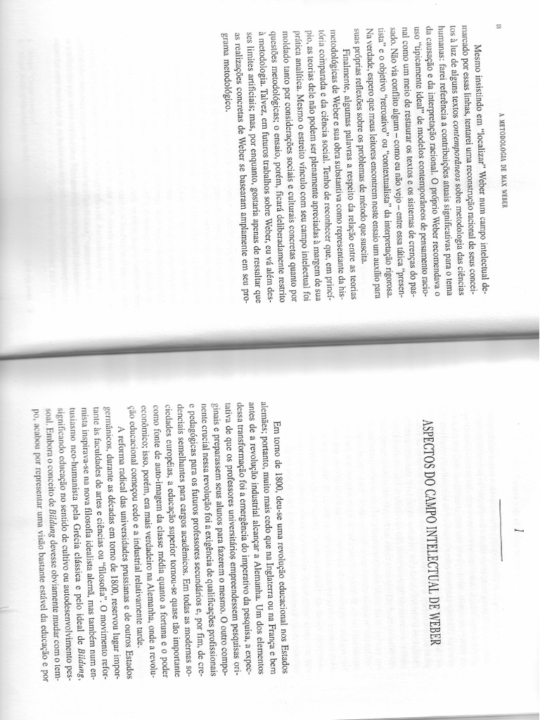 Ringer, Fritz. A Metodologia de Max Weber - Cap.1 | PDF