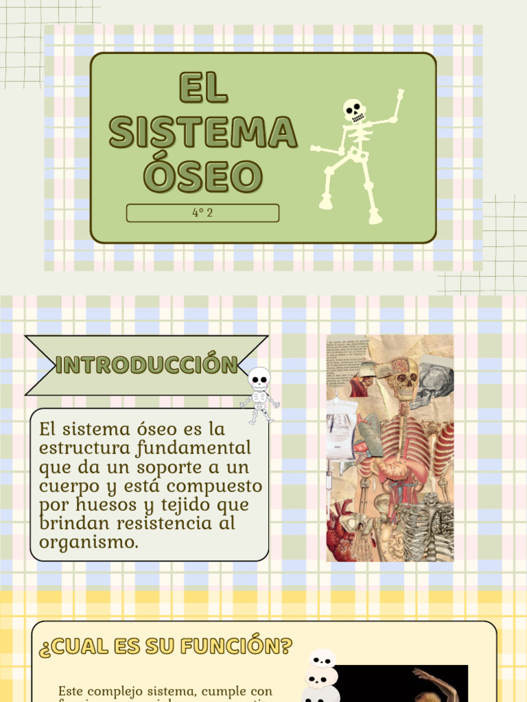Sistema Óseo Feria de Ciencias | PDF | Hueso | Esqueleto