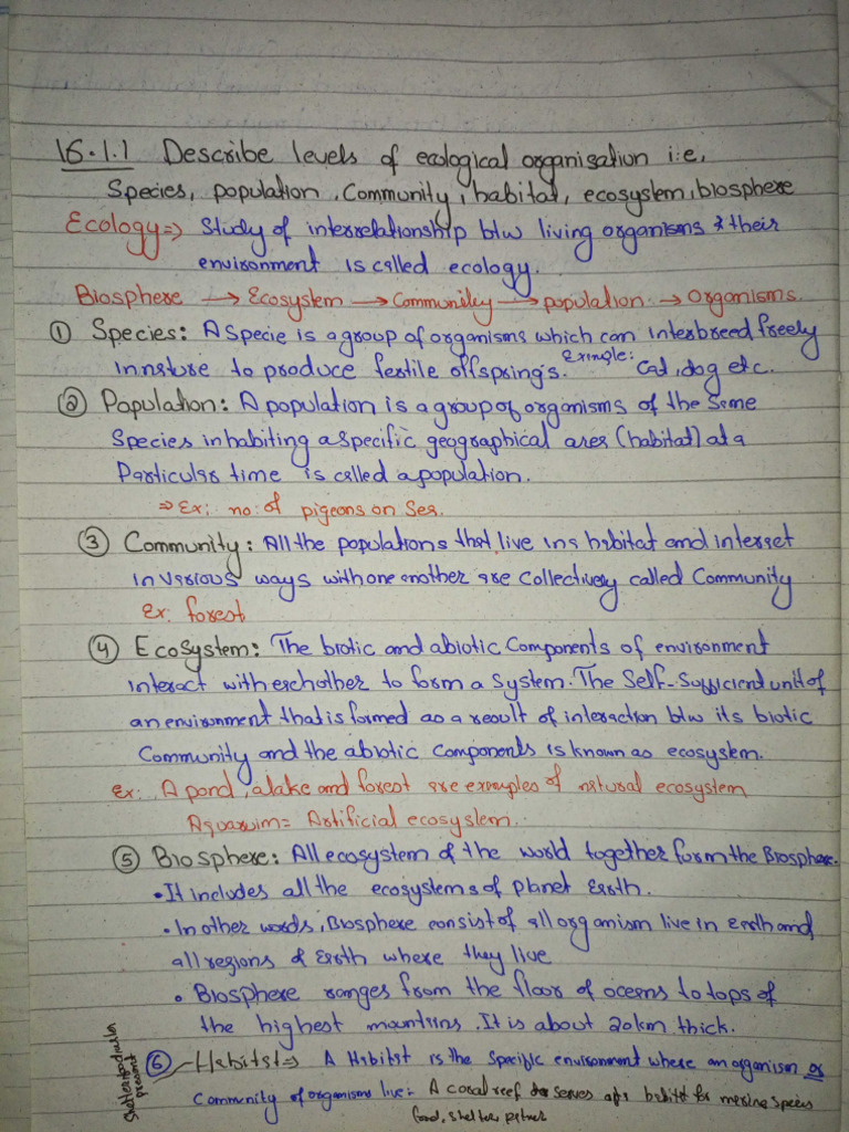 Man And His Environment | PDF