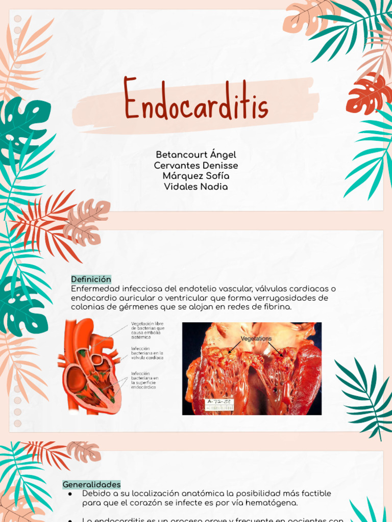 ENDOCARDITIS | PDF | Especialidades Medicas | Medicina CLINICA