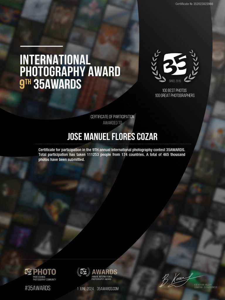 Certificate of Participation - 35AWARDS | PDF