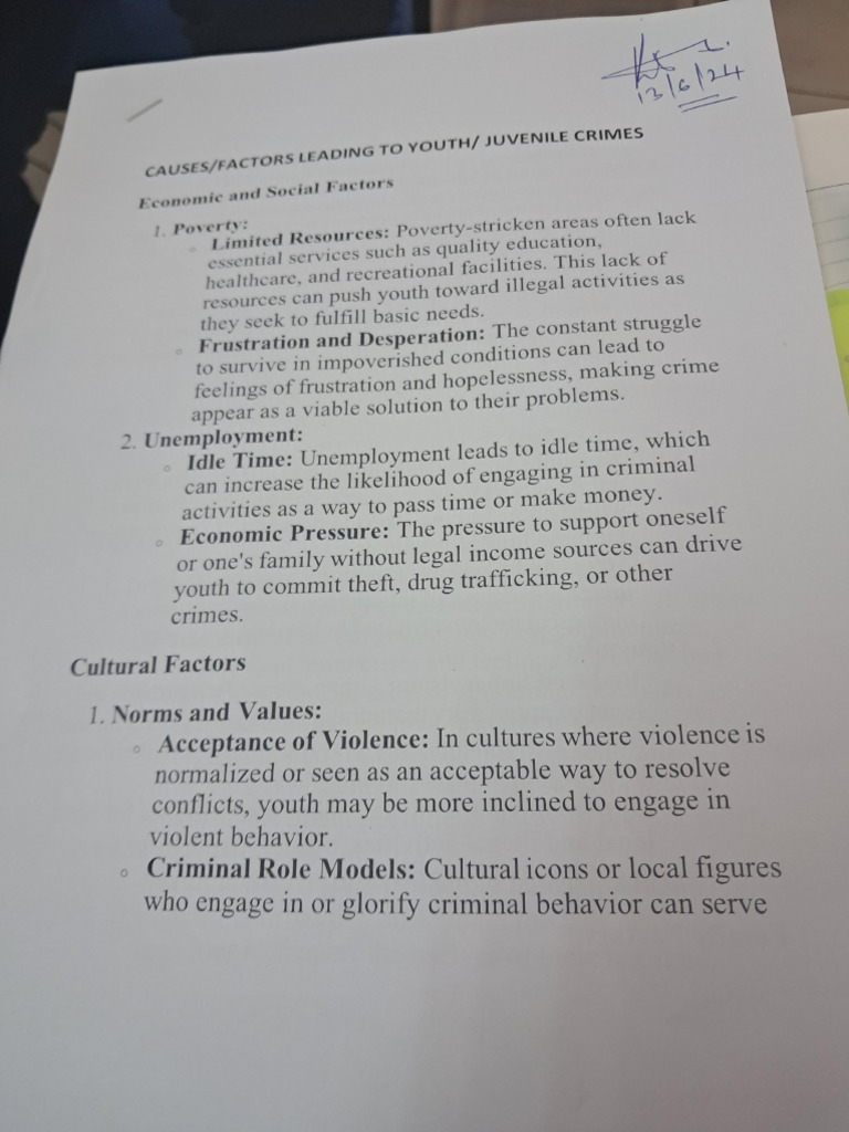 Youth Crime | PDF | Crimes | Crime & Violence