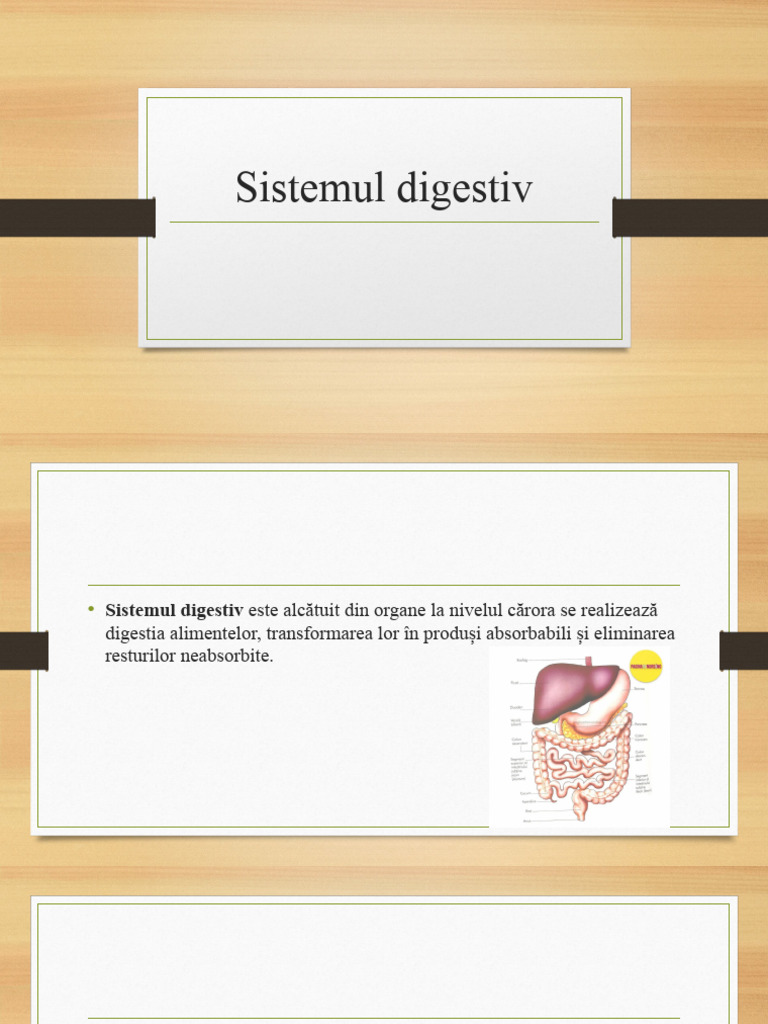 Sistemul Digestiv 2 | PDF